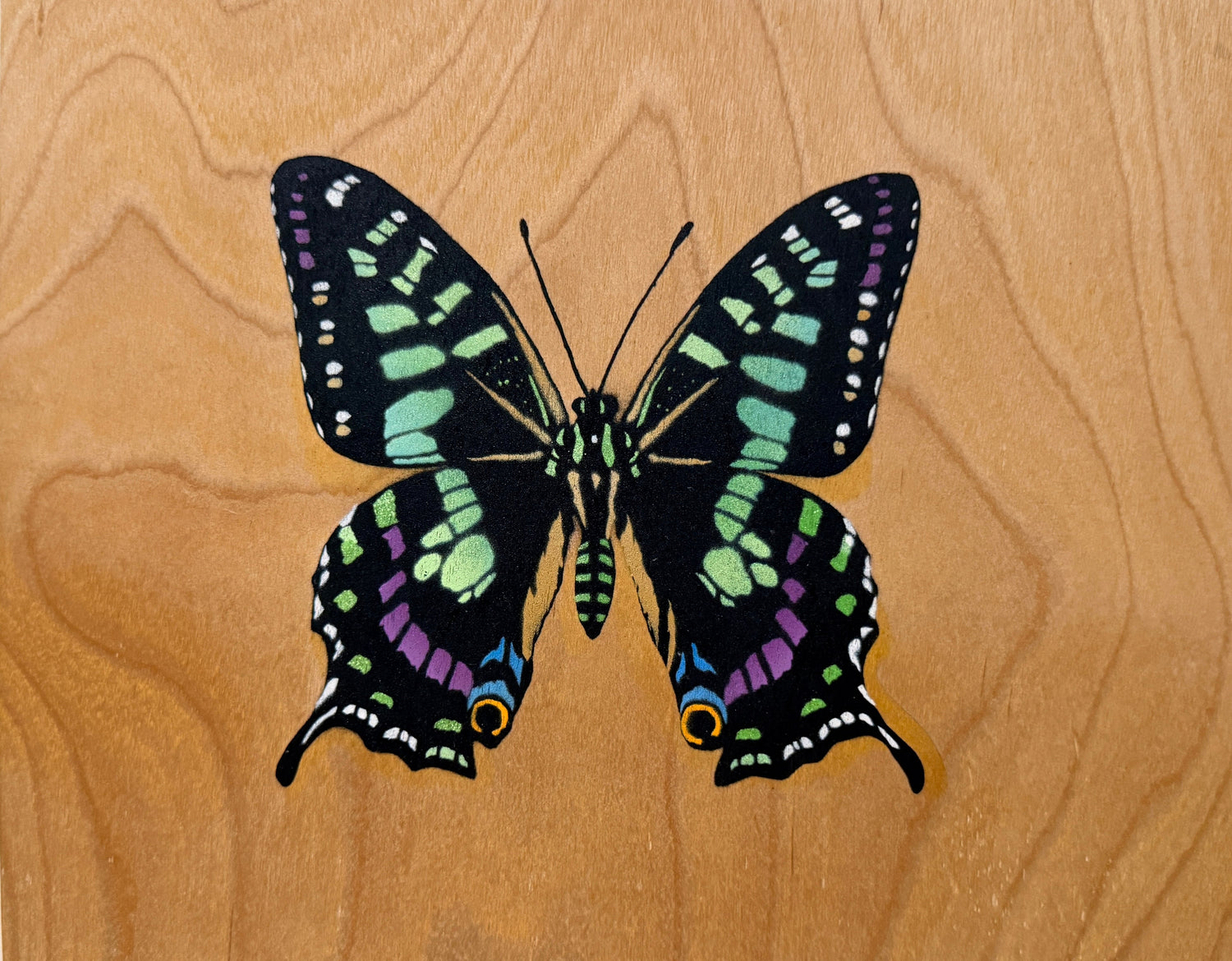 Collections – Marcus Moss Art